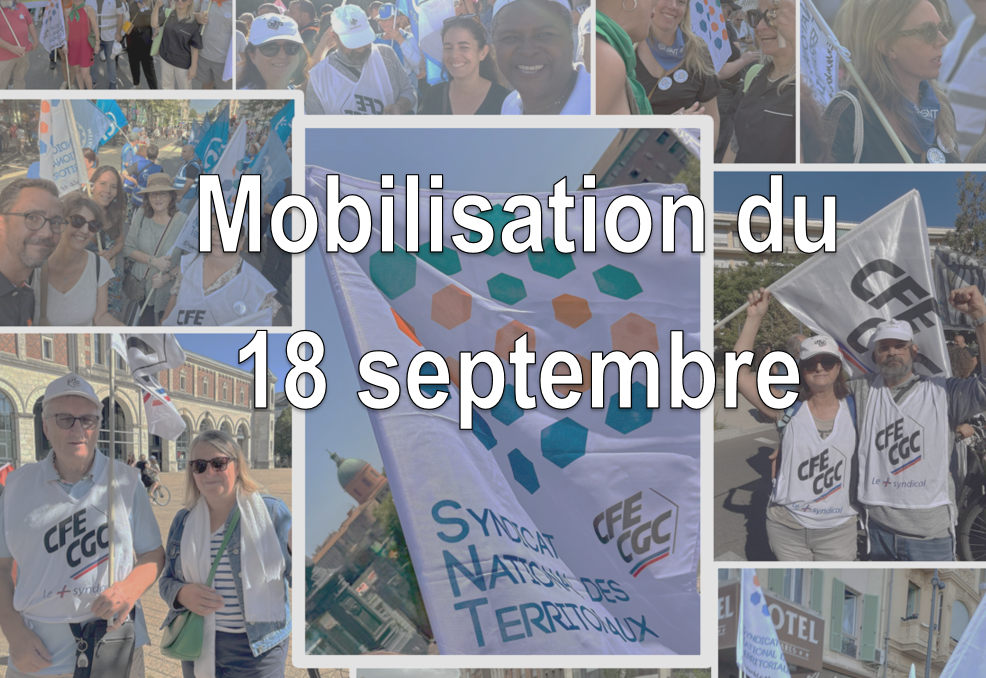 Lettre info #37 - Syndicat National des Territoriaux